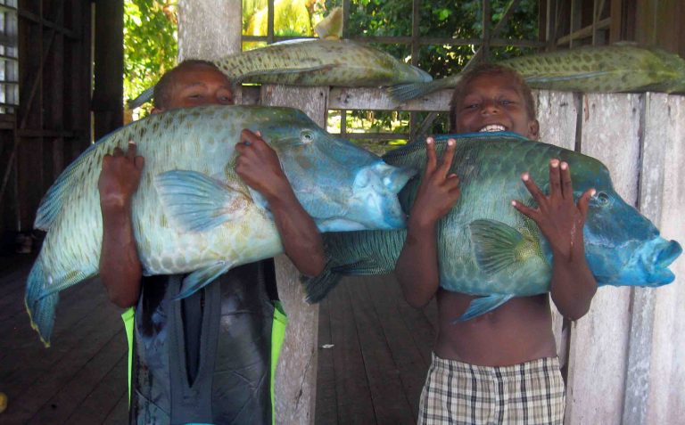 Solomon Islands | SCRFA